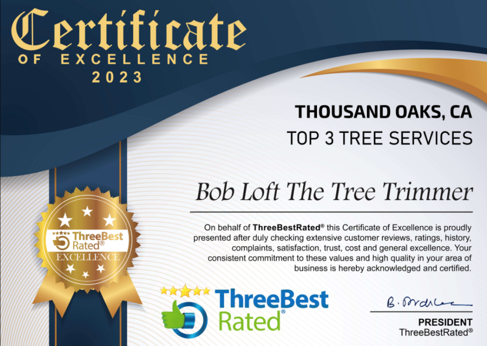 Bob Loft The Tree Trimmer – Awarded With A Certificate of Excellence ...
